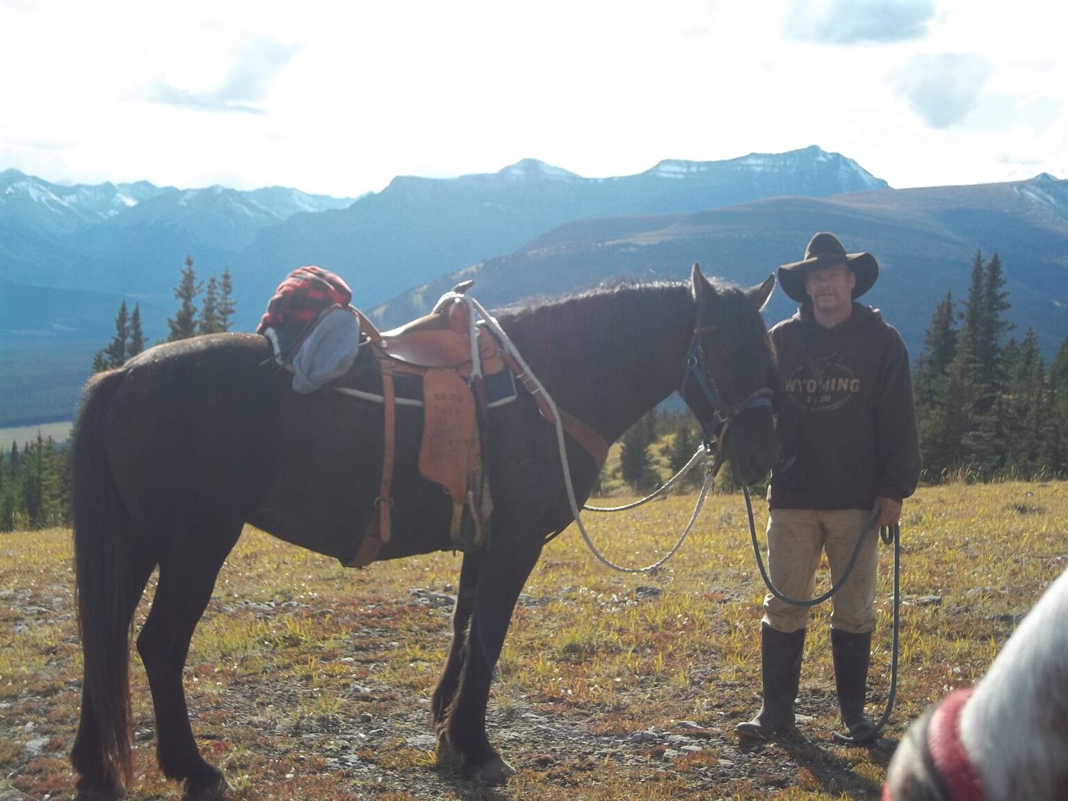 CANADIAN HORSES – Whispered Dreams Ranch